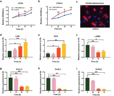 《biomaterials》浙大周民 姚克：外泌体负载热敏水凝胶用于角膜上皮和基质再生 知乎