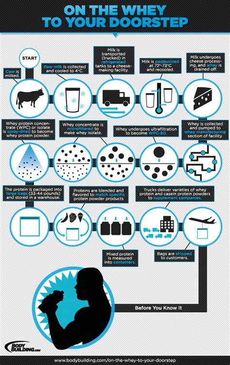 The Manufacturing Process Of Protein Powders Infographic
