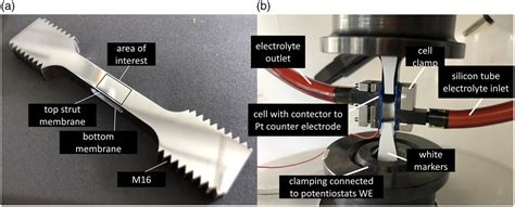 How Hydrogen Affects The Formation And Evolution Of Persistent Slip Bands In High‐purity α‐iron