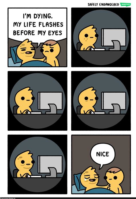 A Programmers Life ProgrammerHumor Io