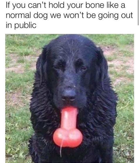 Interesting R Mildlypenis