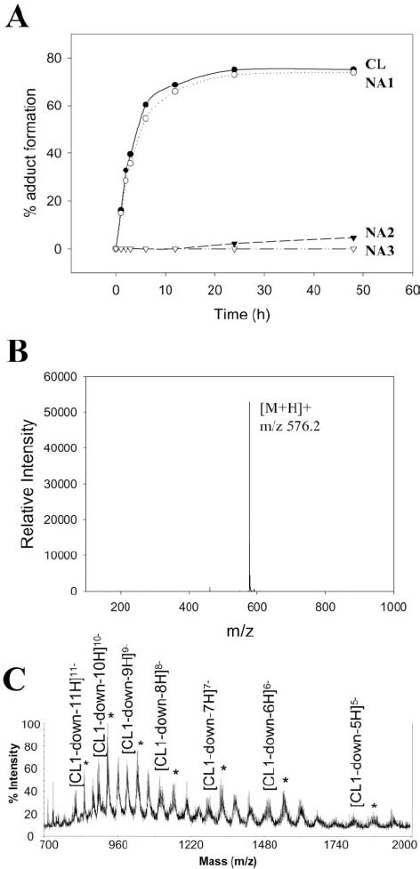 Hplc And Esi Ms Analysis Of Drug Adducts A Time Course Of The Download Scientific Diagram
