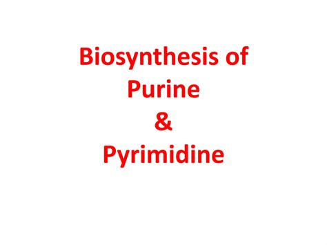 Biosynthesis Of Purine And Pyrimidine Pptx