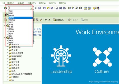 sap 操作界面基本设置 sap怎么将常用的页面设置 csdn博客