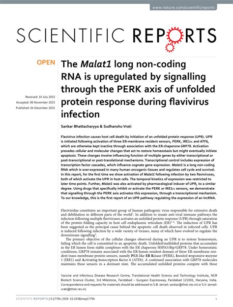 Pdf The Malat1 Long Non Coding Rna Is Upregulated By Signalling