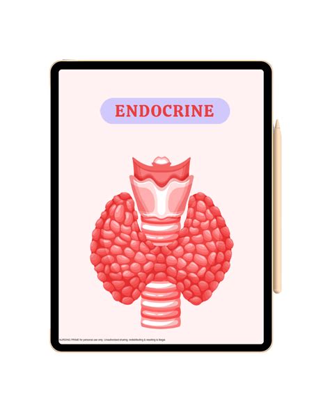 Endocrine Notes Nursing Prime