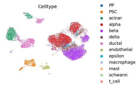 Reference Mapping Using Cell Embedding By Pretrained Scgpt Model