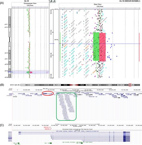 Chromosomal Microarray Analysis Cma Of Fetal Dna A Cma Profile Of
