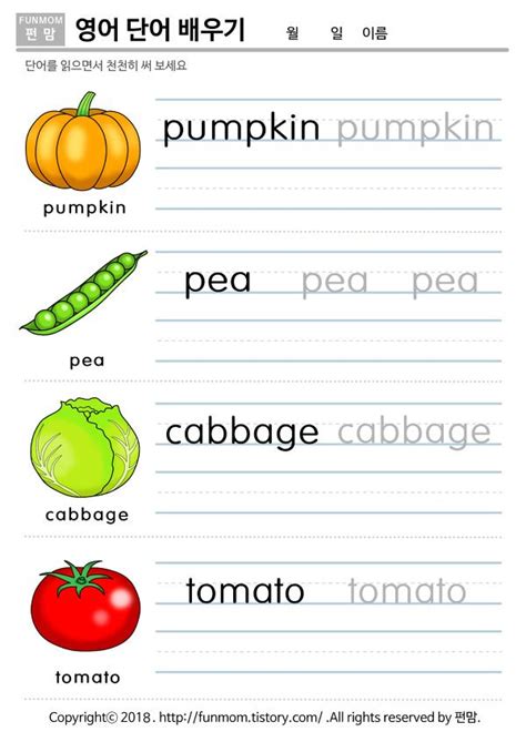 호박 완두콩 양배추 토마토 영어로 따라쓰기 단어 쓰기 무료 프린트 쓰기