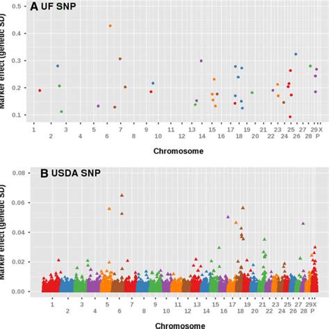 Manhattan Plots Comparing Snp Effects On Daughter Pregnancy Rate From