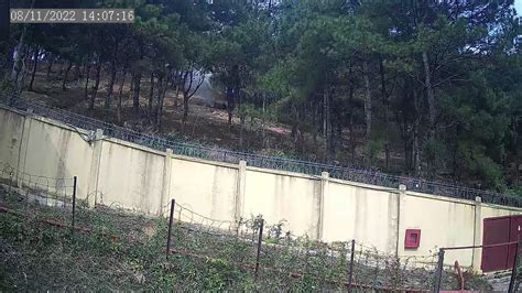 Fire Smoke Detection Test Object Detection Dataset By Nguyenbatuan