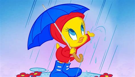 [100 ] Tweety Bird Wallpapers