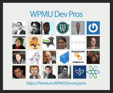 Find Some Of The Best Wordpress Developers At The Wpmu Dev Pros Page