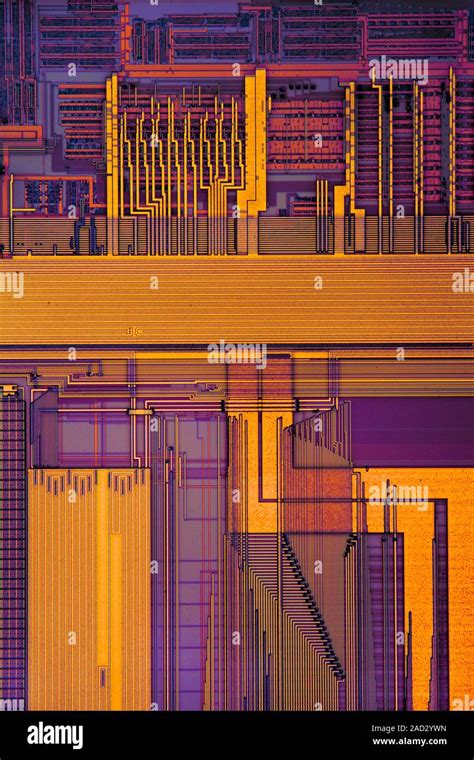 Microprocessor Components Light Micrograph Of An Intel Pentium