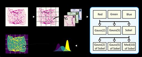 Handcrafted Texture Feature Segmentation Algorithm Input Hande Stained