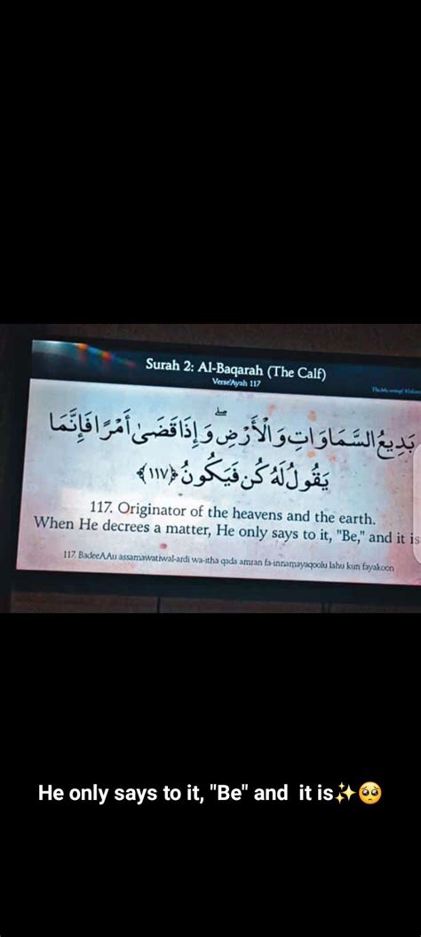 Mareena Khan Posted On Linkedin