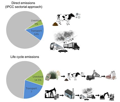 Greenhouse Gas Emissions Cows From Cattle Emissions To Carbon Sinks