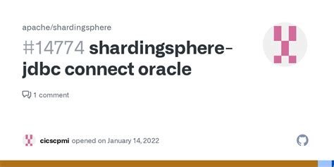 Shardingsphere Jdbc Connect Oracle · Issue 14774 · Apache