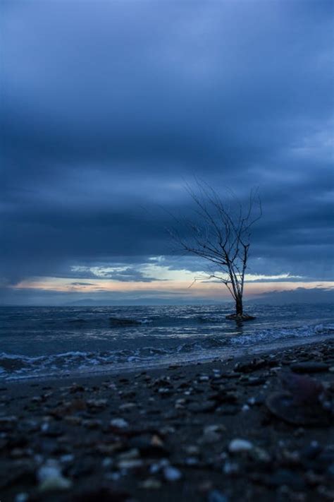 경치 고독 고독한 고요한 고요함 구름 구름 경치 극적인 구름 나무 물 물 반사 미니멀리스트 바다 바다 경치 바다 경치 사진 반사된 벌거 벗은