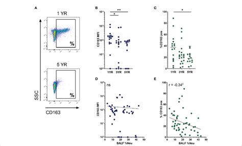 Cd163 Expression On Airway Macrophages Decreases With Age And Increased