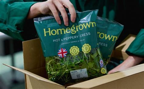 Jones Food Company Unveils Vertically Farmed British Salad Range