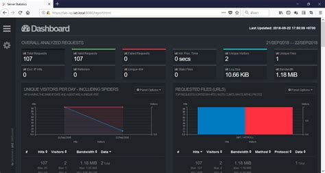 Install Goaccess On Ubuntu 1604 Codeinsane
