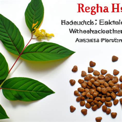 How Does Repatha Work Exploring The Mechanism Of This Cholesterol Lowering Medication The