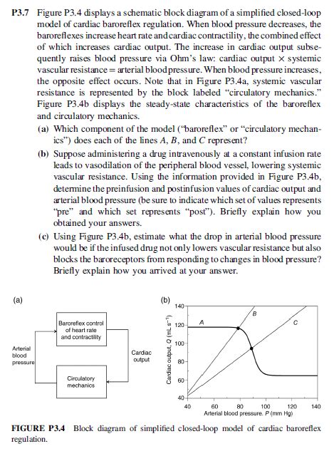 Solved P3 7 Figure P3 4 Displays A Schematic Block Diagram Chegg Com