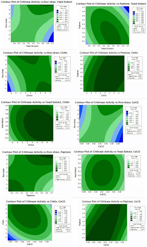 Contour Plots Of Chitinase Production By Bacillus Subtilis Showing The Download Scientific