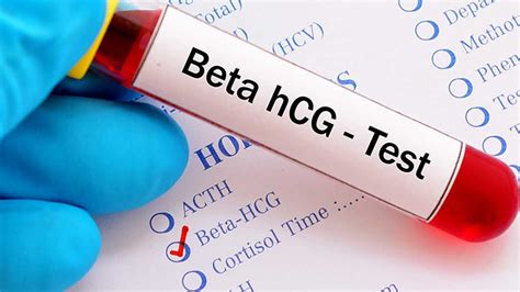 Beta Hcg Hormonu Nedir