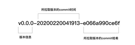 后端 go modules 终极入门 煎鱼的清汤锅 segmentfault 思否