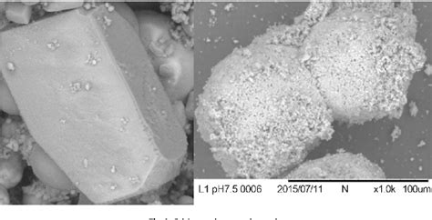 Figure 1 From Micp As A Potential Sustainable Technique To Treat Or Entrap Contaminants In The