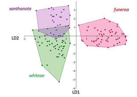 Results Of A Linear Discriminant Analysis Where Museum Specimens Of Download Scientific