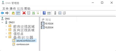 解析 Azure 和本地域。 Microsoft Learn