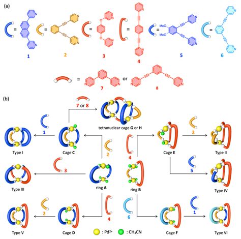 Assembly Of 6 Types Of Heteroleptic Pd2l4 Cages And Tetranuclear