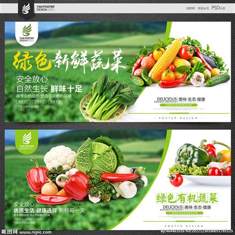 蔬菜设计图 海报设计 广告设计 设计图库 昵图网