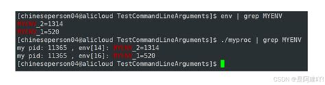 【linux】命令行参数与环境变量命令行进入环境变量 Csdn博客