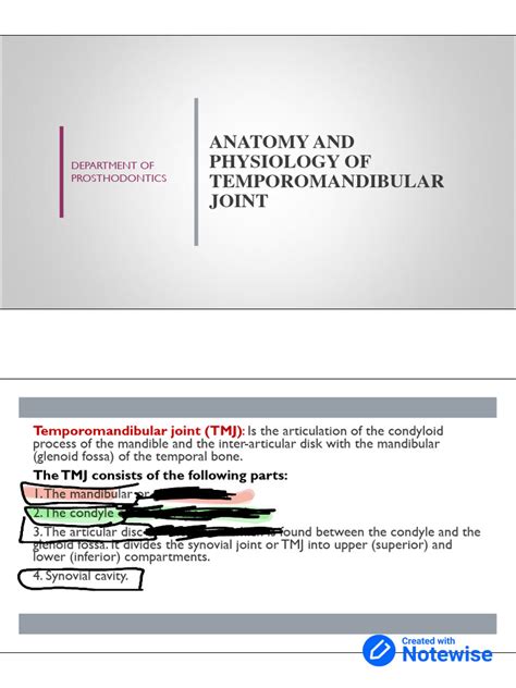 lec 9 pdf pdf human anatomy musculoskeletal system