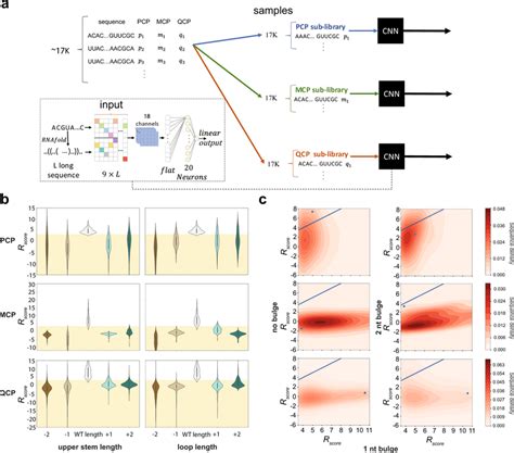 Analysis Of Mcp Pcp And Qcp Rna Binding Structure Preferences A A Download Scientific Diagram