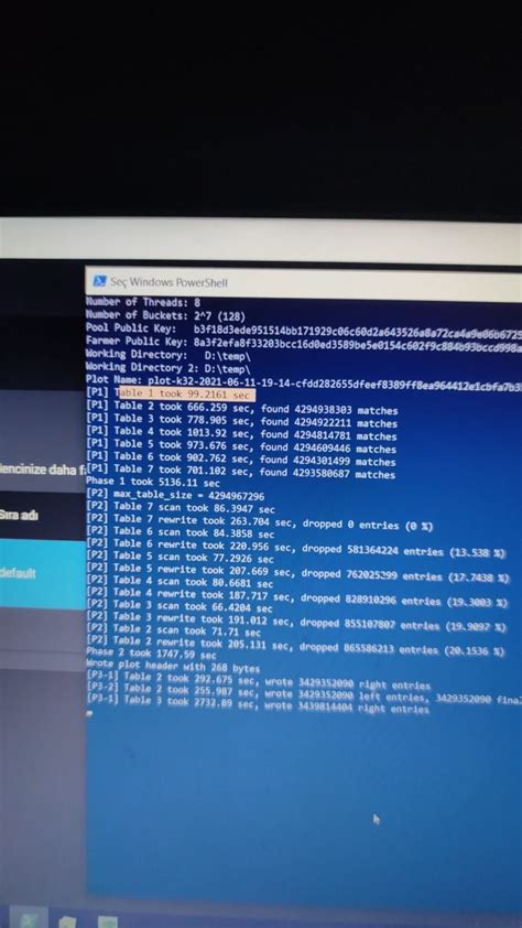 Proccess Freezes At Phase 3 Issue 398 MadMAx43v3r Chia Plotter
