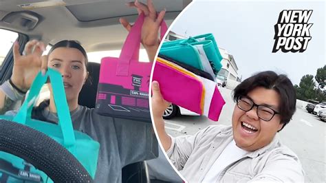 Trader Joes New Mini Insulated Cooler Bags Already Going Viral