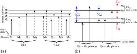 A Schematic Representation Of The Selection Rules For Free Indirect Download Scientific