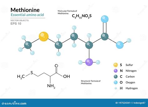 Amino Acid For Met At Isaac Dadson Blog