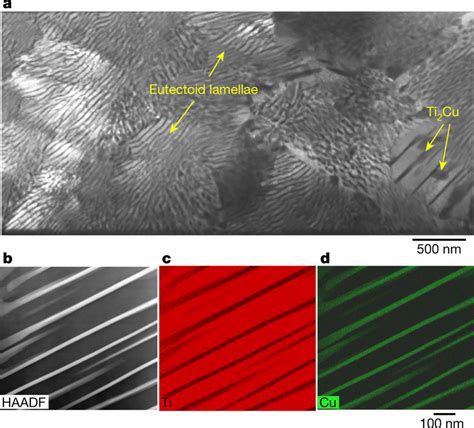 Transmission Electron Microscopy Characterization Of As Printed Download Scientific Diagram