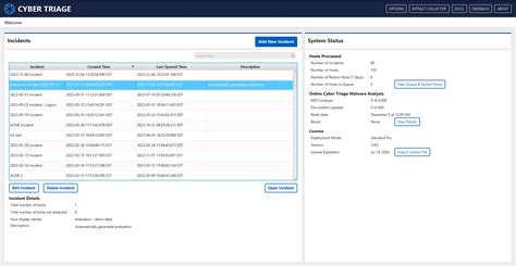 2 Ui And Configuration Basics — Cyber Triage