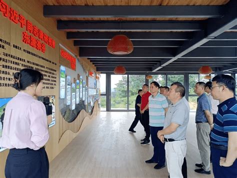南平市政协书画院书法家到政和开展书法便民活动 杨源乡 创作 文化