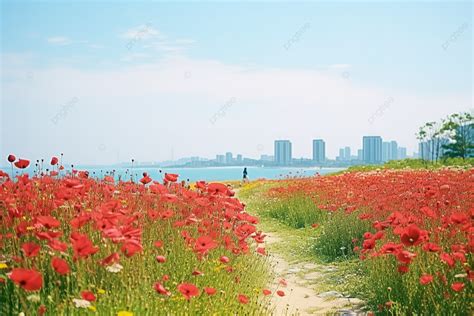 꽃은 빨갛고 들판에 서 있다 높은 해상도 관광지 구름 배경 일러스트 및 사진 무료 다운로드 Pngtree