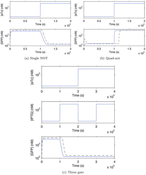 Simulation Of Automatically Generated Genetic Regulatory Networks Download Scientific Diagram