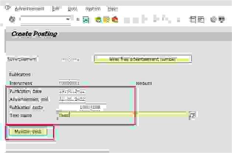 Create Advertisement In SAP