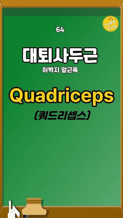 기초영어단어 13 신체기관 신체부위 기초영어회화 영어공부 초보영어회화 Youtube